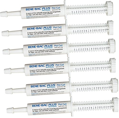 Mua 6 Pack Bene-Bac Plus Gel, 15g Syringe 6 -Pack trên Amazon Mỹ chính ...