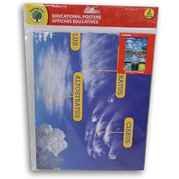 Amazon.com: Cloud Chart Laminated: Prints: Posters & Prints