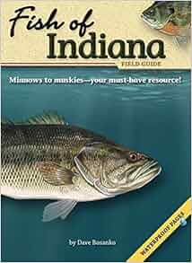 Fish of Indiana Field Guide (Fish Identification Guides): Dave Bosanko ...