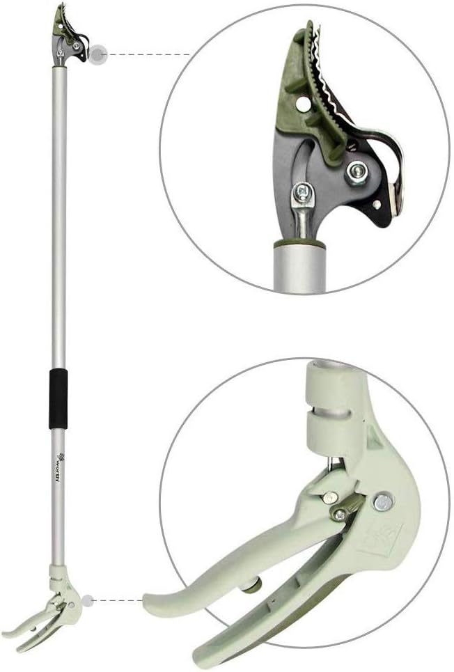 Best Tree Pruner (2023)