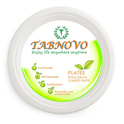 Paper Plates Heavy Duty 9 Inches 200 Count Eco friendly Disposable paper-plates-heavy-duty-9-inches-200-count-eco-friendly-disposable