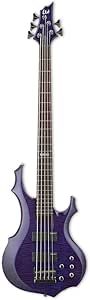 Amazon.com: ESP LTD F-155DX - Dark See Thru Purple 5 String Bass ...