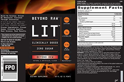 Beyond Raw Lit On-The-Go | Ready to Drink Cans | Contains Caffeine, L ...