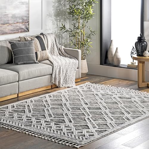 nuLOOM 10x14 Ansley Moroccan Tassel Area Rug, Grey, High-Low Textured ...