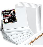 Amazon.com: Shuttle Art Stretched Canvas, 12 Pack 11 x 14 Inch Canvases ...