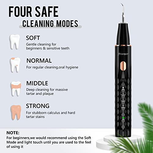 Plaque Remover for Teeth, Electric Tartar Remover for Teeth with LED ...