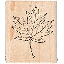Amazon.com: Stamps by Impression ST 0171 Maple Leaf Rubber Stamp: Arts ...