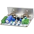 Amazon.com: Acxico 1Pcs 1969 Class A Amplifier Board HiFi Audio Power Amplificador PCB MOT ...