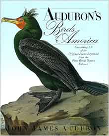 Audubon's Birds of America: The Royal Octavo Edition: Audubon, John ...