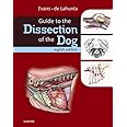 Guide to the Dissection of the Dog: 9780323391658: Medicine & Health ...