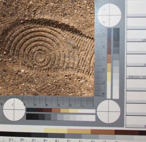 DGK 4N6 Set of 5 Forensic Ruler ABFO Scales Inches and Metric for ...