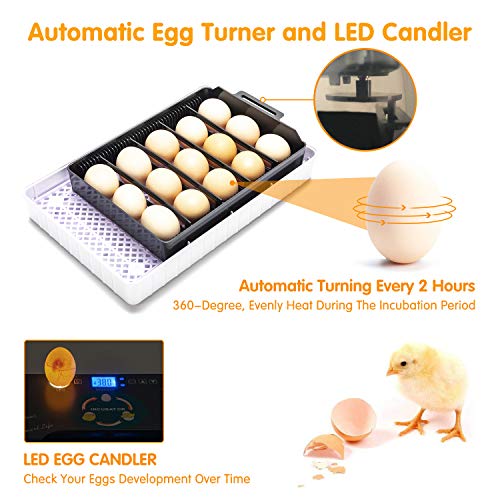 Apdo Egg Incubator, 9-35 Eggs Fully Automatic Poultry Hatcher Machine ...