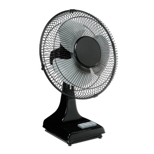 Amazon.com: Boston 12 Inch Oscillating Fan, Metal, Black (25981 ...