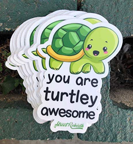Amazon.com: 1 Your Are Turtley Awesome Sticker - One 4 Inch WaterProof ...