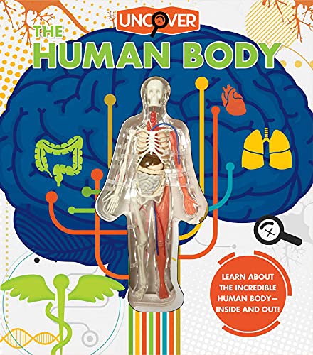 Uncover the Human Body: Colombo, Luann, Zuckerman, Craig, Fairman ...