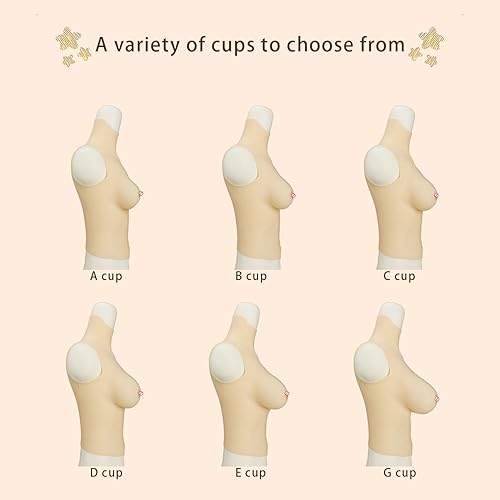 C Cup Breast Vs B Cup