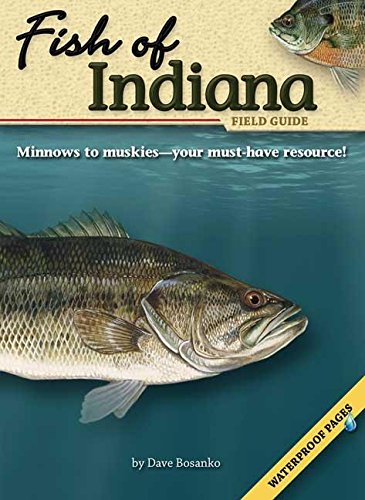 Fish of Indiana Field Guide (Fish Identification Guides): Bosanko, Dave ...