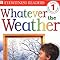 DK Readers: Whatever The Weather (Level 1: Beginning to Read): Karen ...