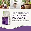 Myco Bliss Powder (5lbs) - Mycorrhizal Inoculant for Plants - 5 ...