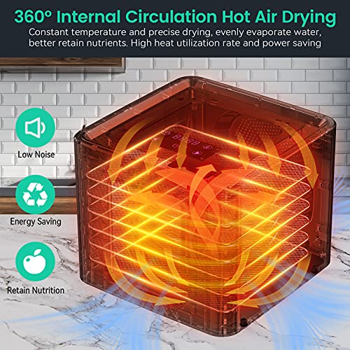 SENDRY Food Dehydrator with 6 Stainless Steel Trays, LED Touch Control ...