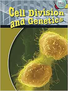 Cell Division and Genetics (Cells and Life): Snedden, Robert ...