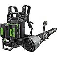 Amazon.com: EGO Power+ LBPX8004-2 Backpack Blower Kit 800 CFM with 2X 6Ah Battery & 280W Dual ...