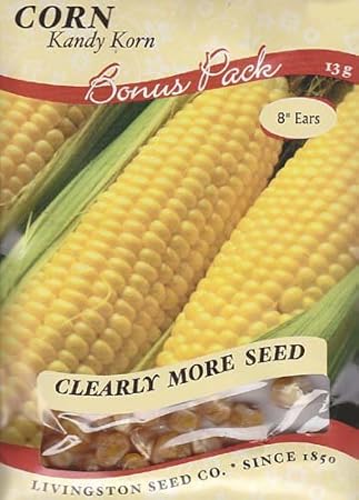 Amazon.com : Kandy Korn Corn Seeds - 13 grams : Vegetable Plants ...