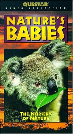 Amazon.com: Nature's Babies: Nursery of Nature [VHS]: Nature's Babies ...