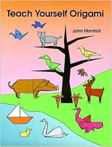 Teach Yourself Origami John Montroll 9780486401416 Amazon Books