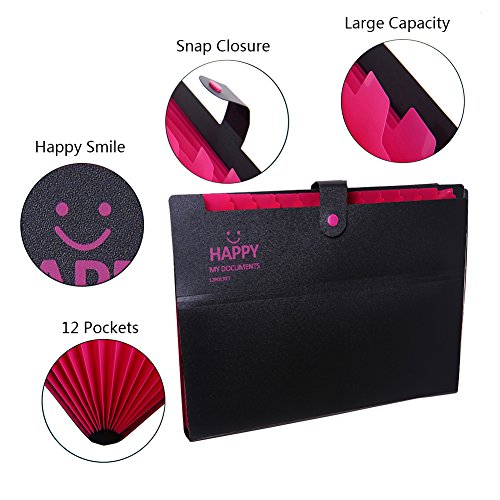Expanding File Folders 12 - Pocket, Accordion Document Organizer ...