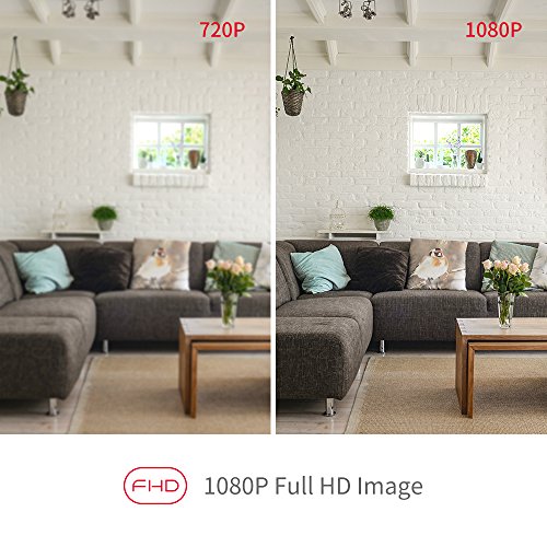 Foscam C2E Full HD 1080P Wifi Security IP Surveillance Camera with ...