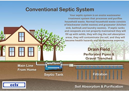 CCLS Septic Tank and Cesspool Treatment Additive/Organic Enzyme ...
