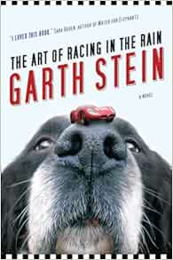 The Art of Racing In the Rain: Garth Stein: 9781554685271: Amazon.com ...