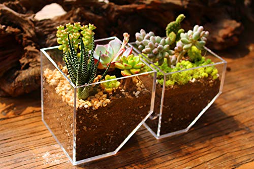 해외직구전문 쇼핑365 Evron Clear Flower Planter Pots,Artistic Room Decor,Fully ...