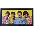 Amazon.com: Black Record Album Frame for Gatefold Album : Home & Kitchen