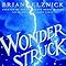 Wonderstruck: Selznick, Brian, Selznick, Brian: 9780545027892: Books ...