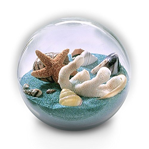 Amazon.com: Sandglobelove: Collectible Sand and Seashell Sandglobe ...