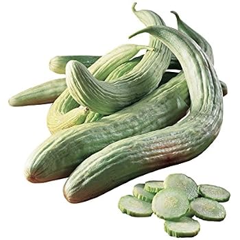 Amazon.com : Armenian Yard-Long Cucumber Seeds : Cucumber Plants ...