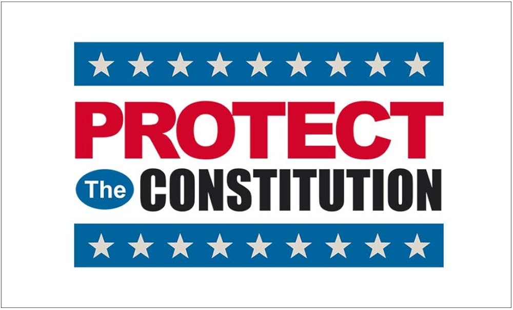 Amazon.com: Protect The Constitution Decal Vinyl Bumper Sticker 5 ...