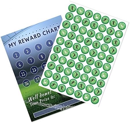 School Stickers A4 Football Reward Chart with Stickers – BigaMart