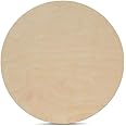 Amazon.com: Wood Circles 10 inch 1/2 inch Thick, Unfinished Birch ...