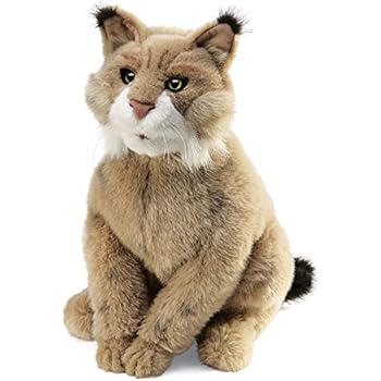 Amazon.com: Folkmanis Coyote Hand Puppet: Toys & Games