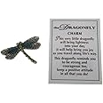 Amazon.com: Ganz Pocket Tokens (The Dragonfly) : Home & Kitchen