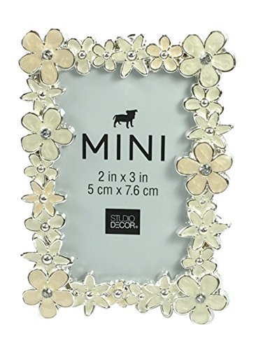 Amazon.com - Studio Decor Mini Floral Picture Frame with Creamy White ...