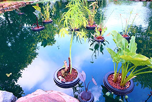 Floating Pond Planter Container Set of X5 - Strong Long Lasting - for ...