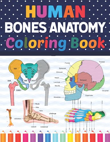 Amazon.com: Human Bones Anatomy Coloring Book: This Coloring Book is ...
