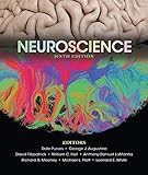 Neuroscience: Exploring the Brain, 3rd Edition: 8601404347344: Medicine ...