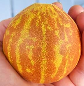 Amazon.com : 25-Seeds - QUEEN ANNE'S POCKET MELON - Plum Granny - TRY ...