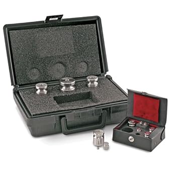 Calibration Weight Set, SS, 500g to 1g: Science Lab Weights: Amazon.com ...