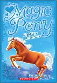 Nighttime Adventure (Magic Pony): Lindsay, Elizabeth: 9780545213226 ...